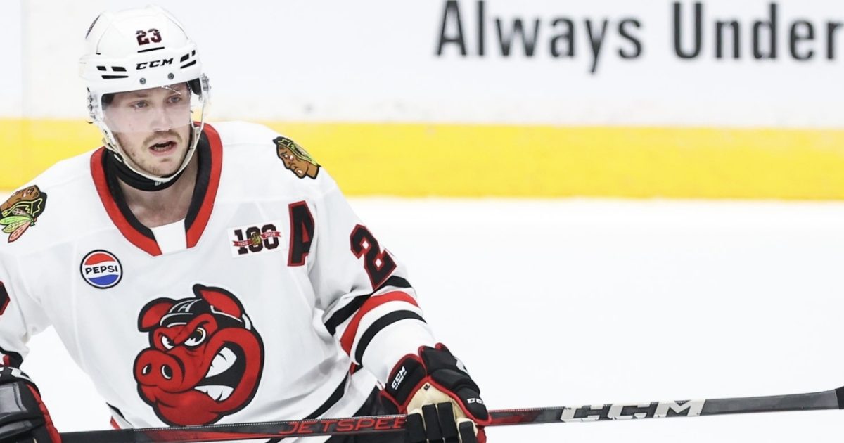 Rockford IceHogs | IceHogs Announce Medical Updates