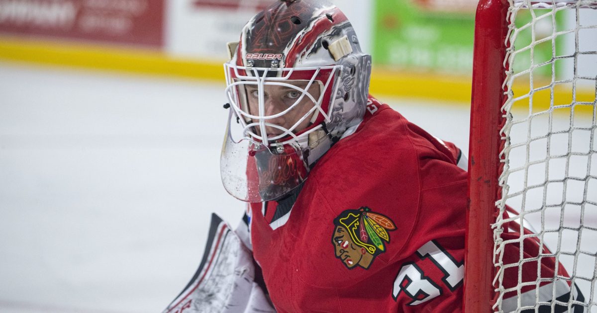 Rockford IceHogs | IceHogs Weekly: IceHogs Open 24th Season This…