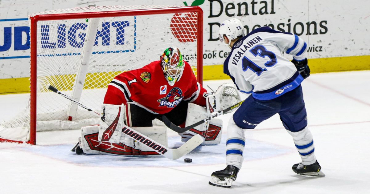Rockford IceHogs | Week 18 Report: Hogs Kick Off Playoff Push with…