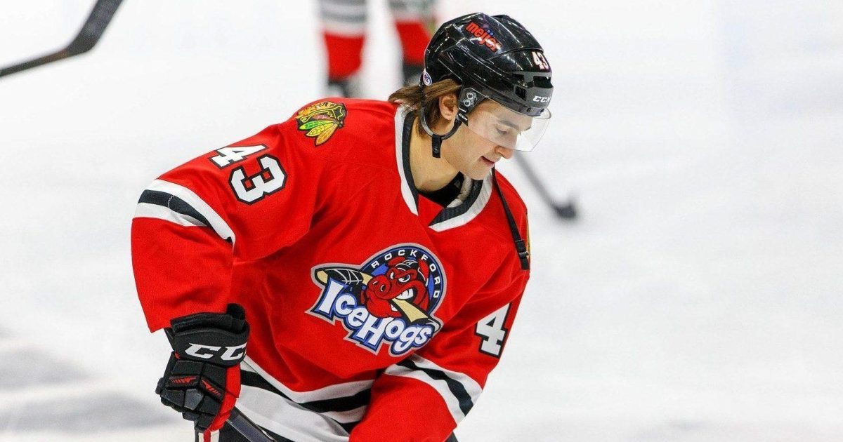 Rockford IceHogs | Defenseman Chad Krys to Miss 5-7 Months After…
