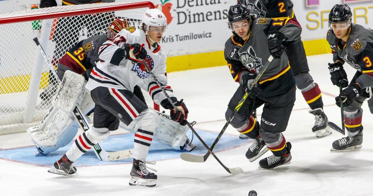 Rockford IceHogs | IceHogs Games vs. Wolves on Friday and Saturday…