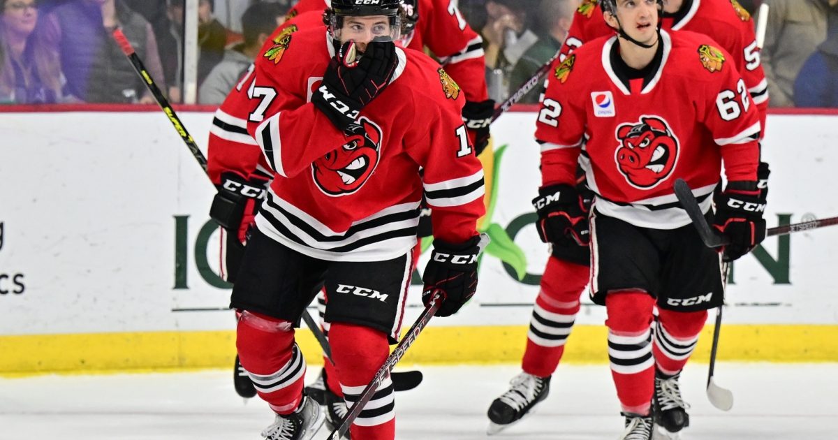 Rockford IceHogs | Gust Hat Trick Leads Way as Hogs Cruise Past Wild