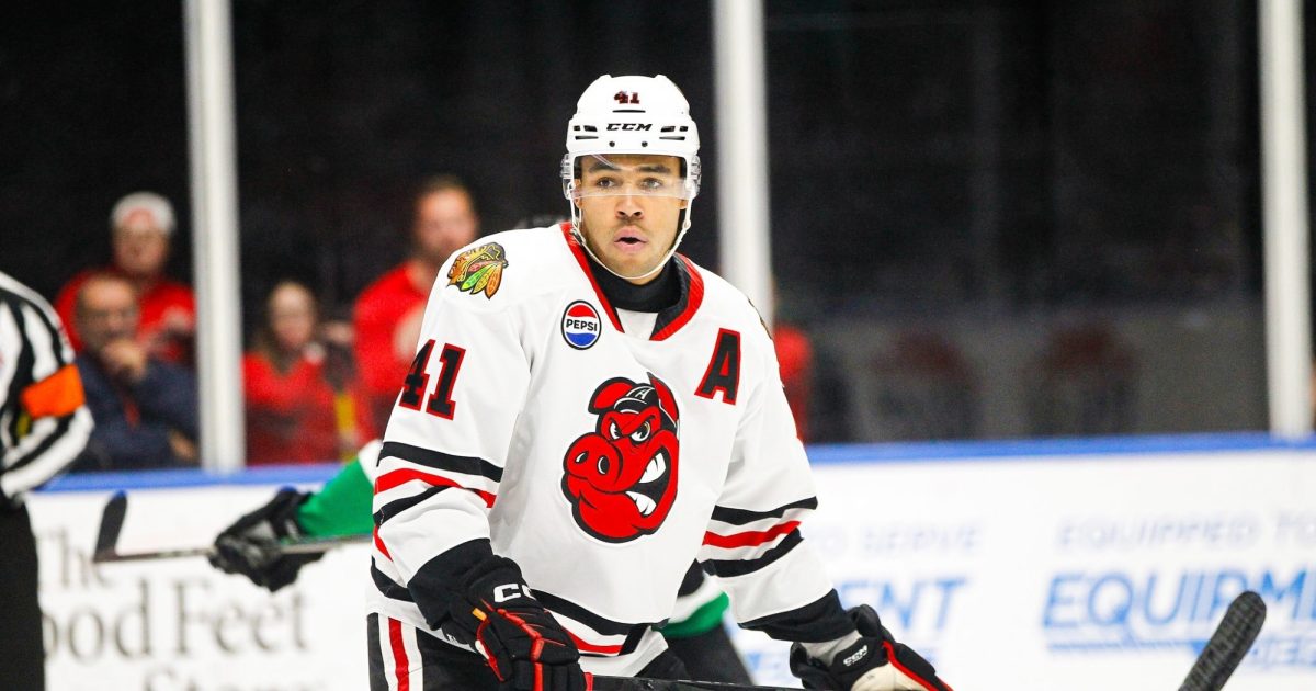 Rockford IceHogs | IceHogs Stumble Against the Stars 6-1