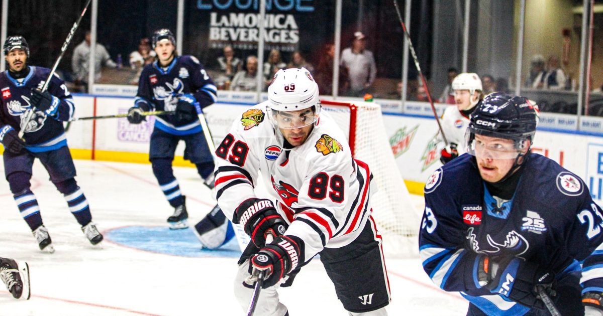 Rockford IceHogs | IceHogs Announce Medical Updates