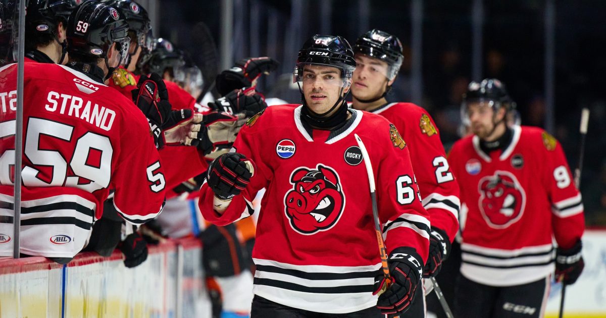 Rockford IceHogs | IceHogs Sign Cates to AHL Contract after Strong…