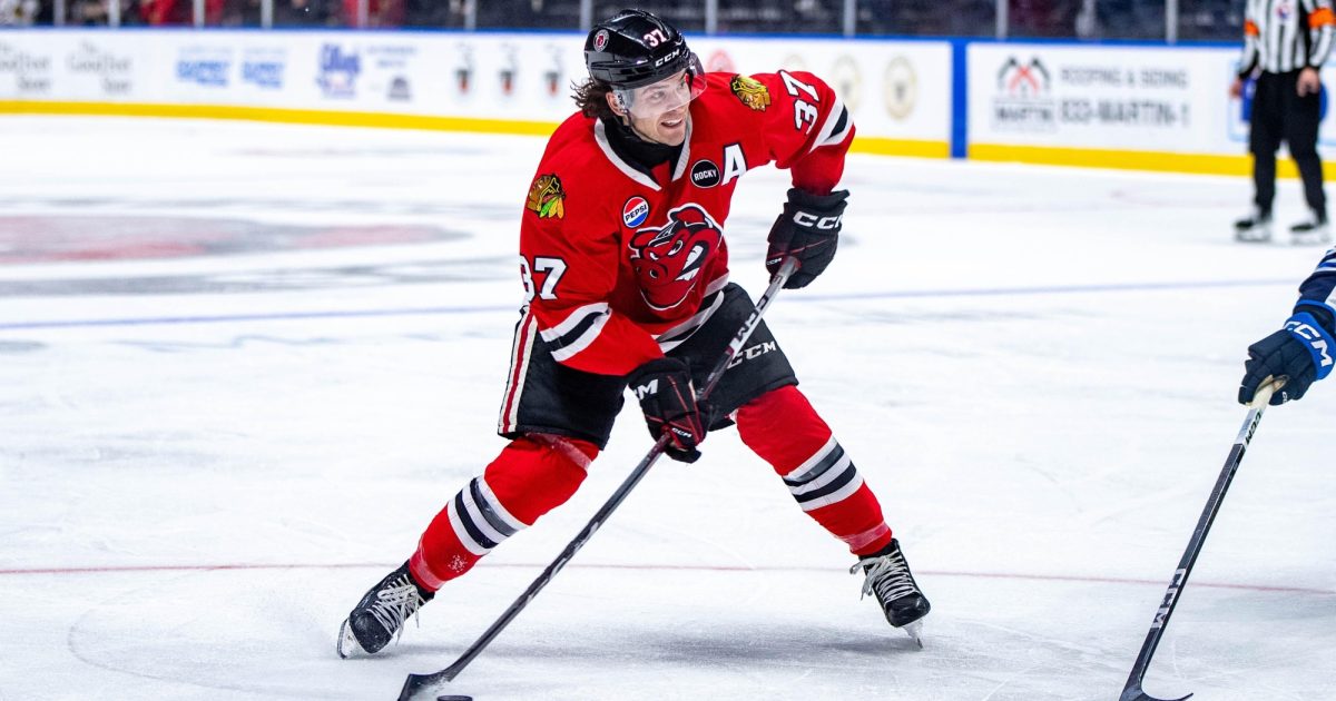 Rockford IceHogs | IceHogs Medical Update: Gust in Concussion Protocol