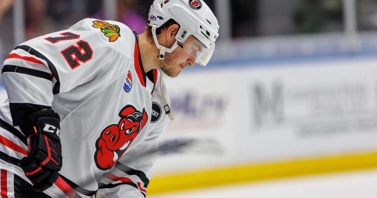 Rockford IceHogs | Hogs Return King to Indy