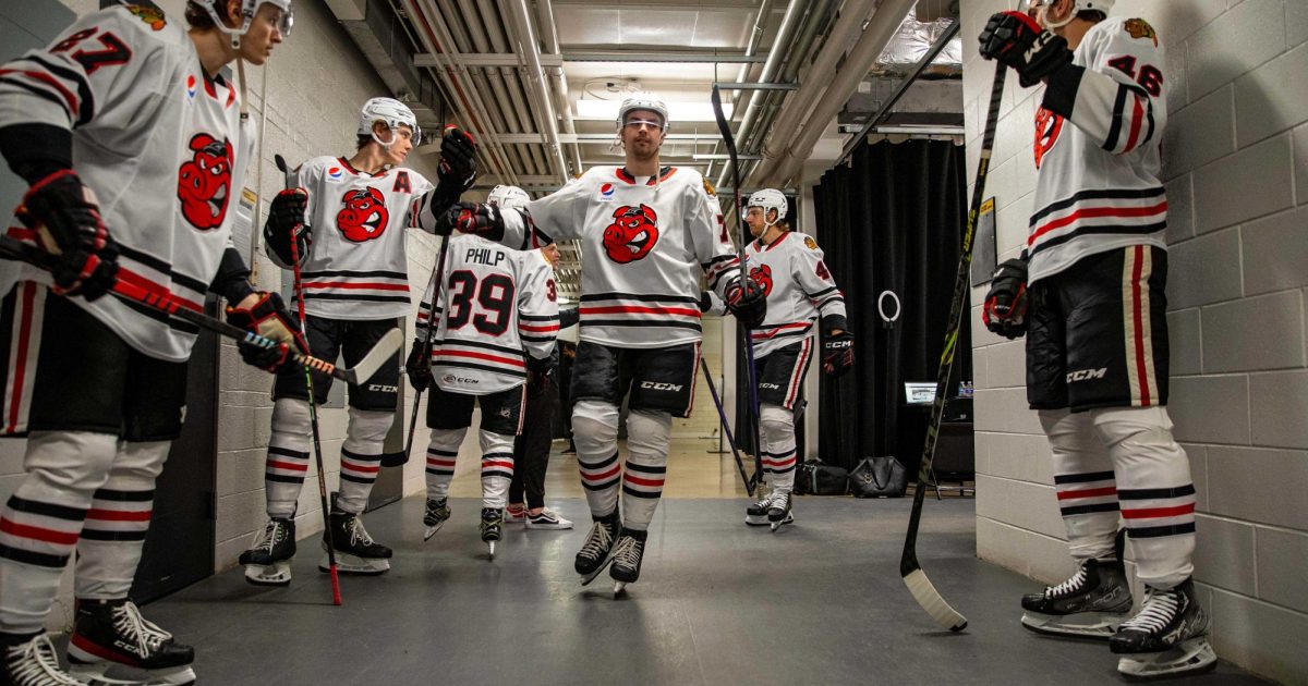 Rockford IceHogs | IceHogs Announce 2023 Training Camp Schedule
