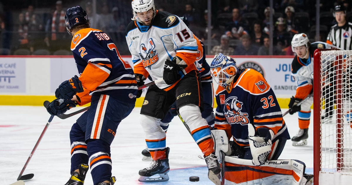 Rockford IceHogs | IceHogs Sign Forward Morgan Adams-Moisan for…