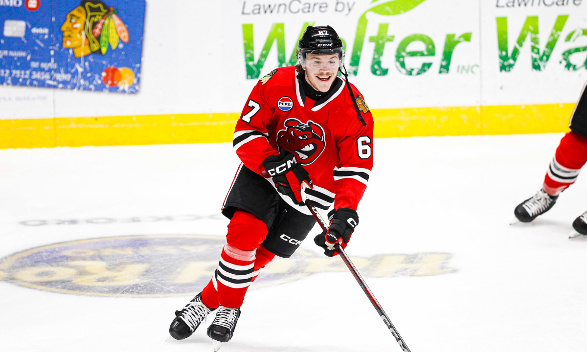 Rockford IceHogs | Home