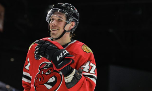 Rockford IceHogs | News