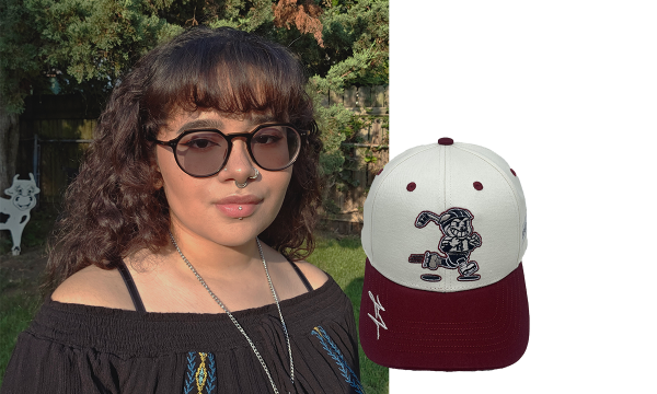 Rockford IceHogs | Local Artists Hat Series
