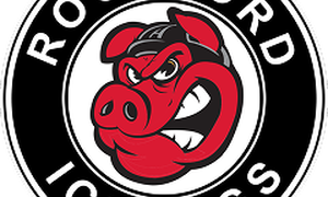 Rockford IceHogs | News